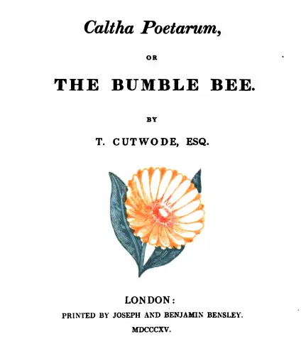 Tailboys Dymoke or Thomas Cutwode (1561 - c.1602/3) - The Tudor Society