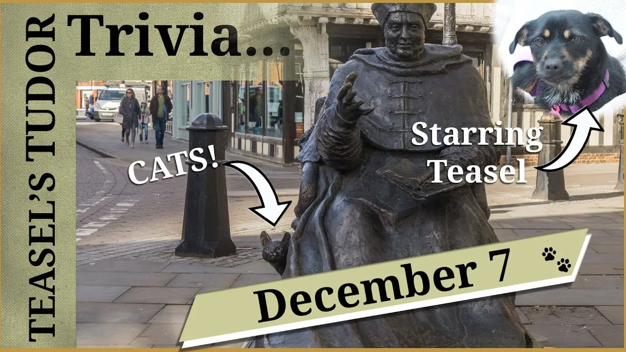 7 December - Tudor cats - The Tudor Society