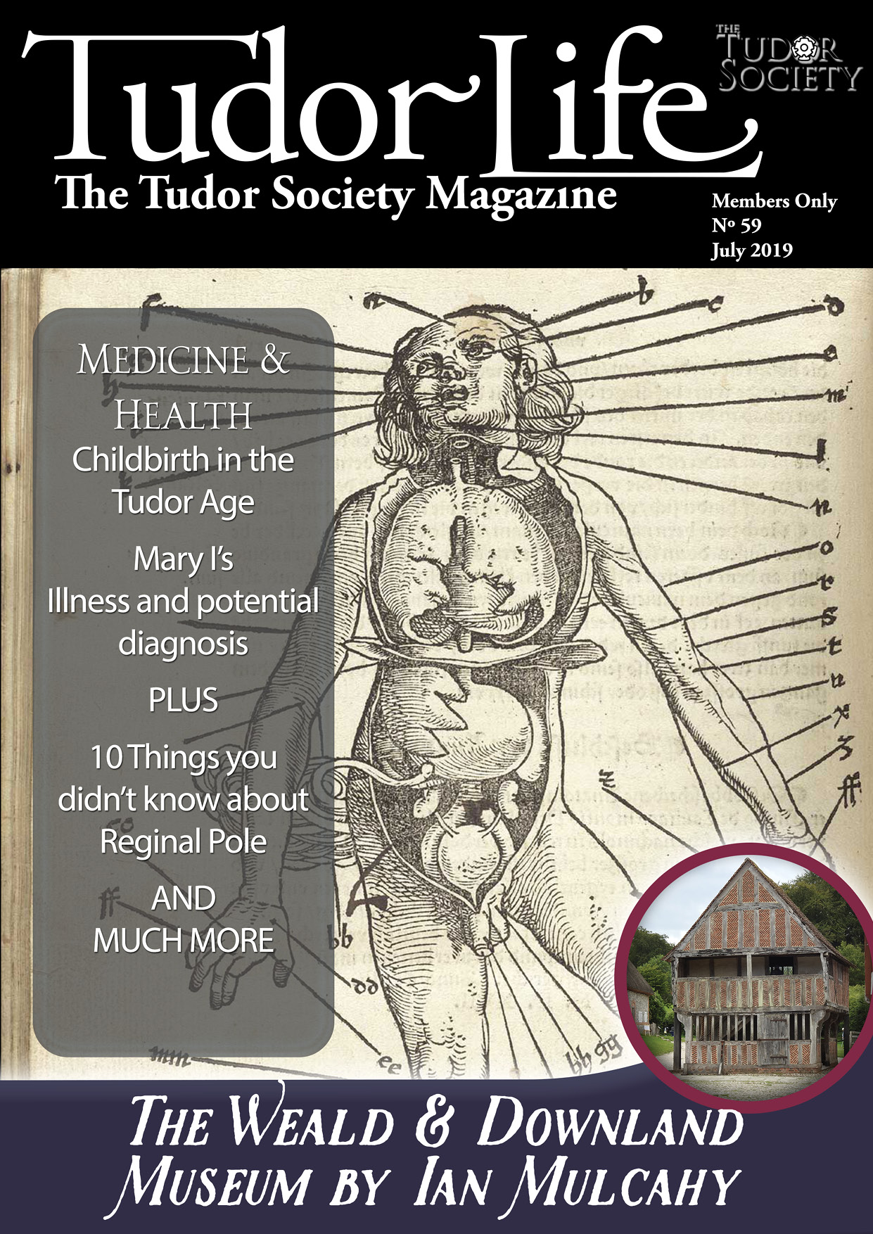 All about Tudor Medicine and Health - The Tudor Society