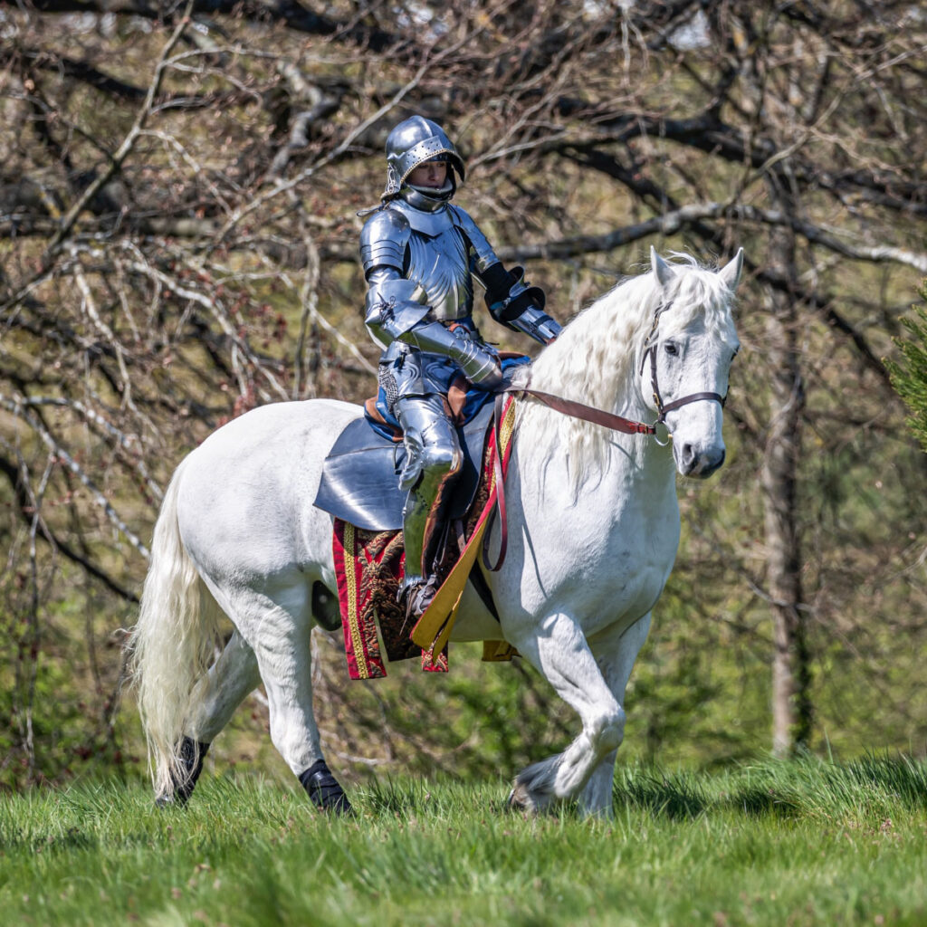 News - The Tudor Society